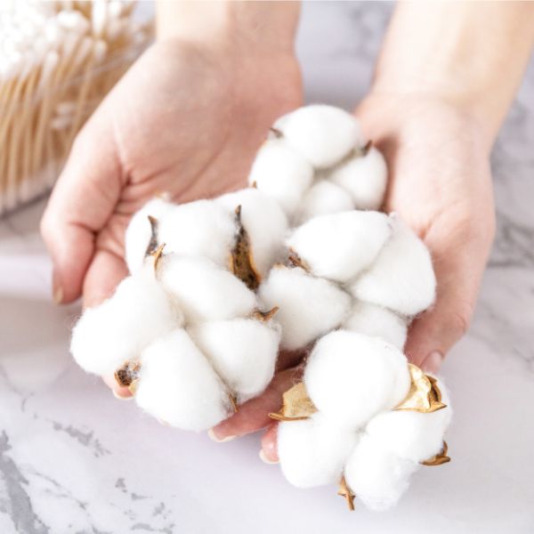 Is Cotton Hypoallergenic? Learn The Effects Cotton Has on Your Health ...